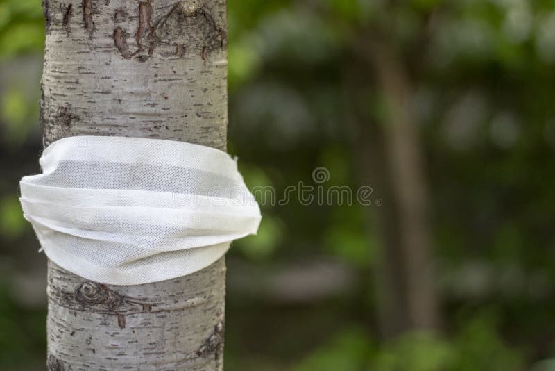 Mask on tree in nature stock image. Image of dried, green - 183392835
