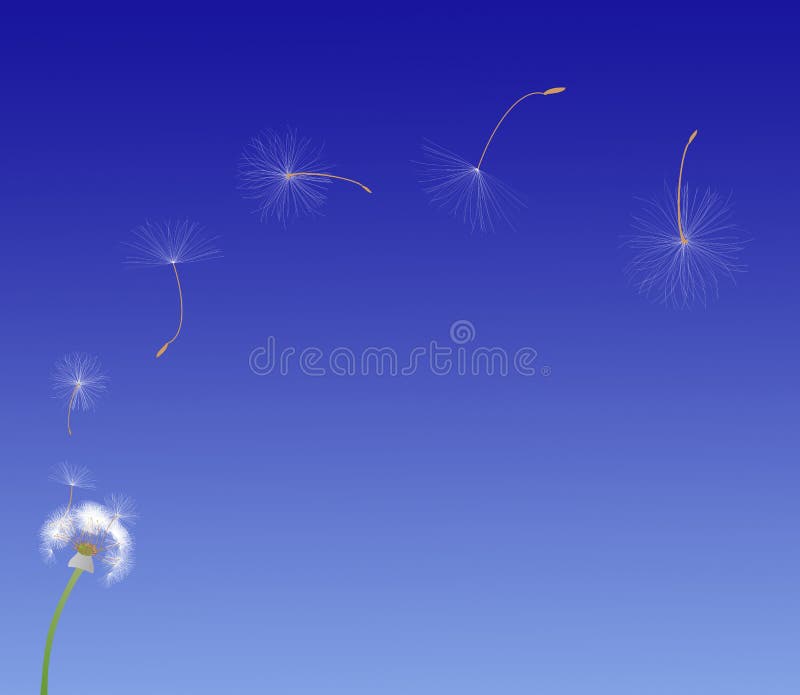 Maskros Stock Illustrationer, Vektorer, & Clipart – (6,582 Stock ...