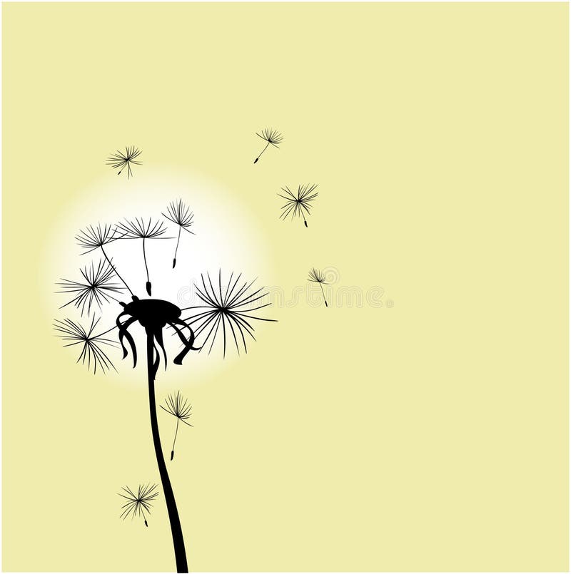 Svart Kontur Av En Maskros På Vit Bakgrund Vektor Illustrationer ...