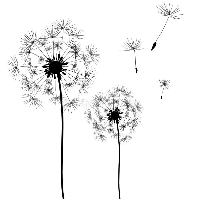 Maskros Stock Illustrationer, Vektorer, & Clipart – (30,831 Stock ...