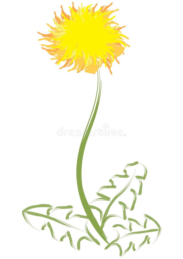 Maskros Stock Illustrationer, Vektorer, & Clipart – (6,582 Stock ...