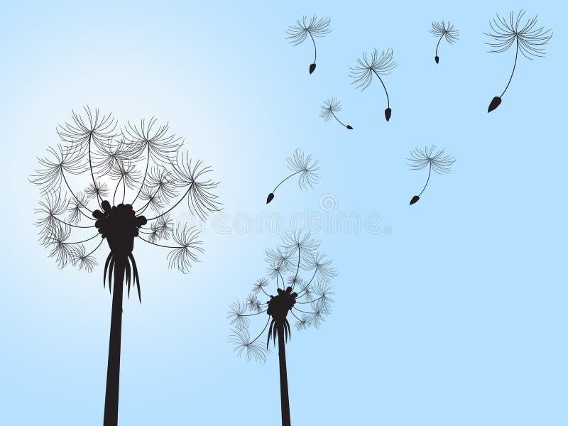 Maskros Stock Illustrationer, Vektorer, & Clipart – (6,582 Stock ...