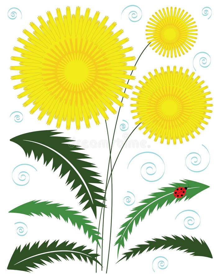 Kontur av en maskros vektor illustrationer. Illustration av bräckligt ...