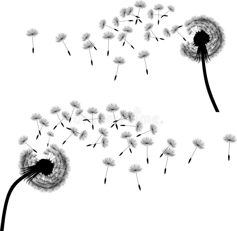 Maskros vektor illustrationer. Illustration av illustration - 75919546