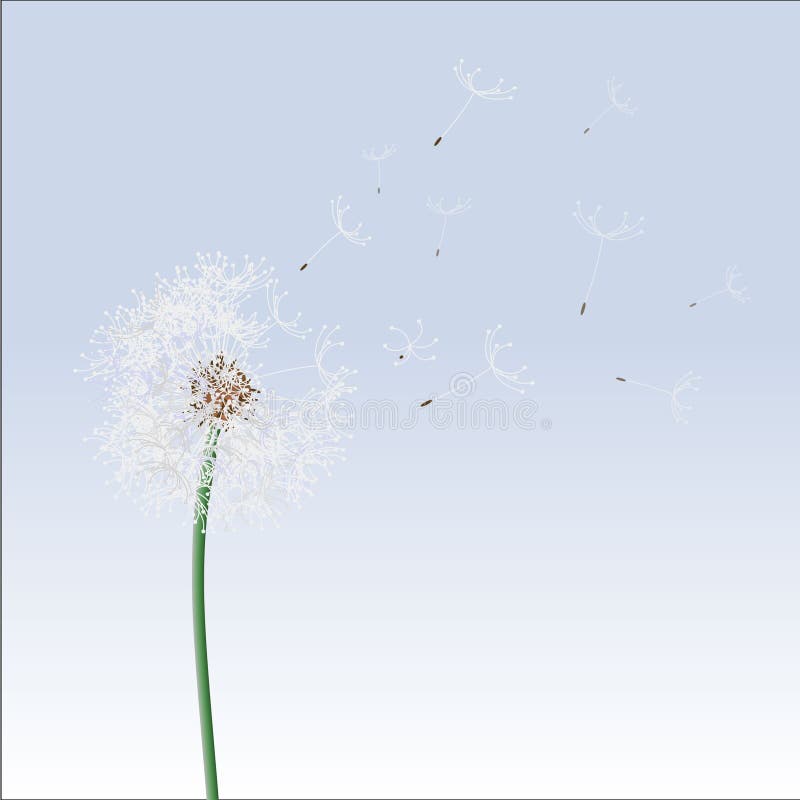 Maskros Stock Illustrationer, Vektorer, & Clipart – (6,582 Stock ...