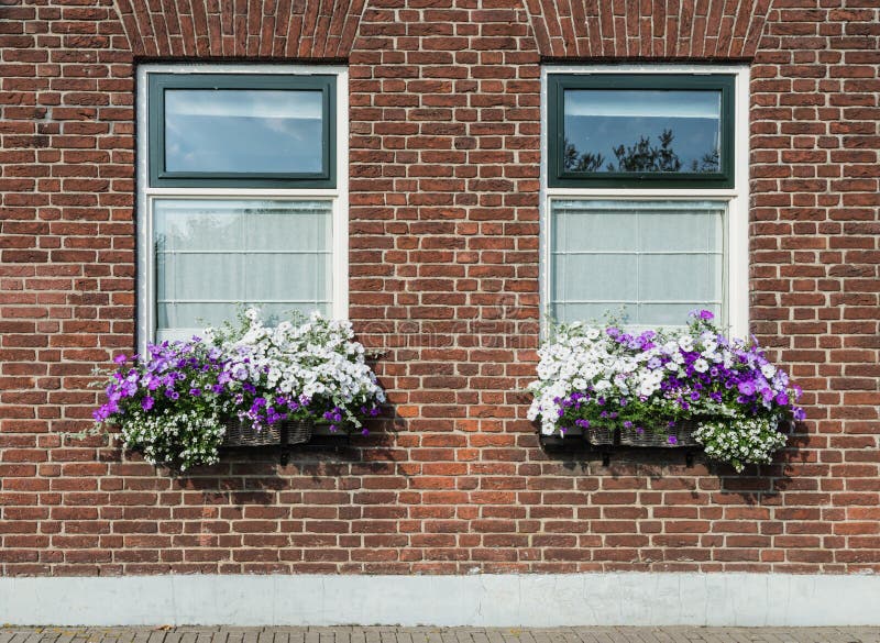 Masonry Brick Wall with Windows and Flower Boxes with Flowering Stock ...