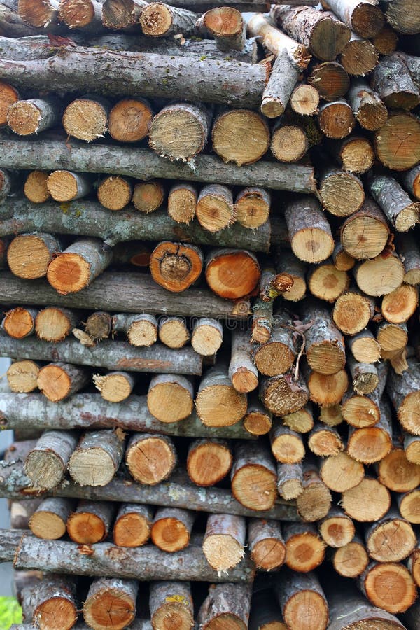 Masonry sawn logs texture stock photo. Image of industry - 181623344