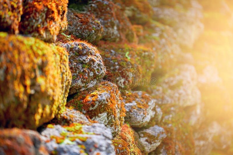 Masonry, Selective Focus. a Wall of Old Muddy Rough Stones in the ...