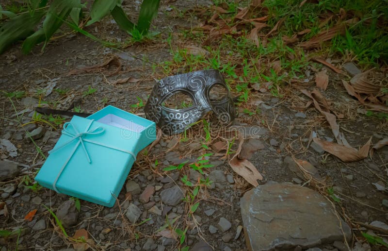 Masquerade Mask with a Square Gift Box Stock Photo - Image of land ...