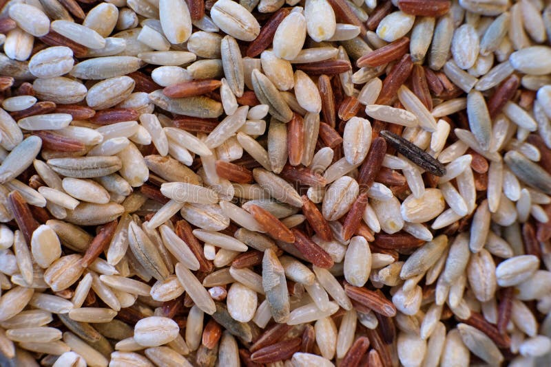 Mass of Dry and Multi Colored Rice Ready To Be Cooked Stock Photo ...