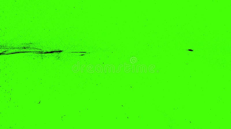 Mass Migration Movement. Crowd of Birds Behaviour. Flocking Boids ...