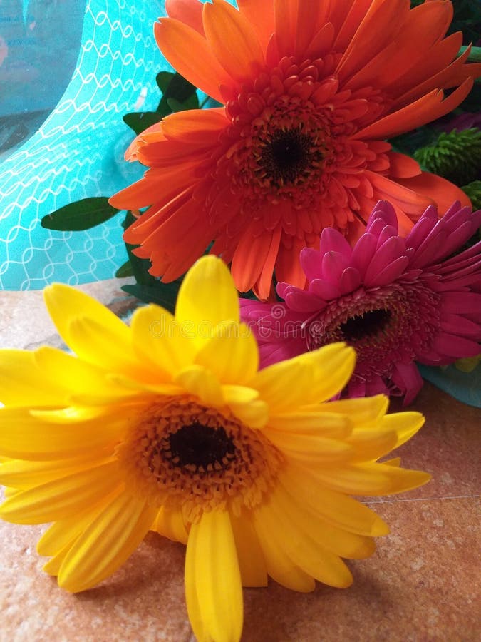 A Mass of pretty colours stock image. Image of colours - 217281953