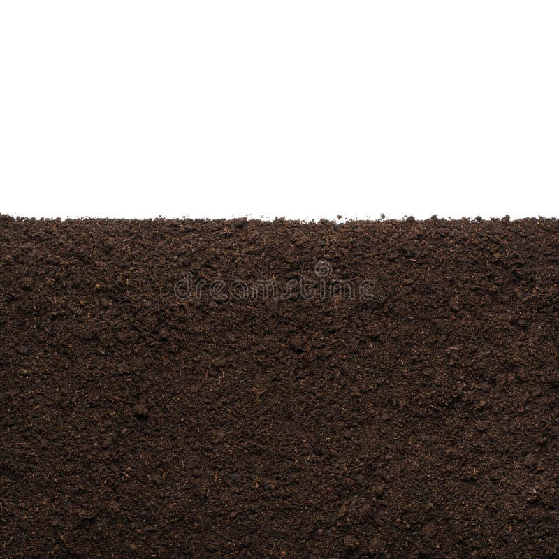 Massa De Turfa Isolada Sobre Fundo Branco Imagem de Stock - Imagem de ...