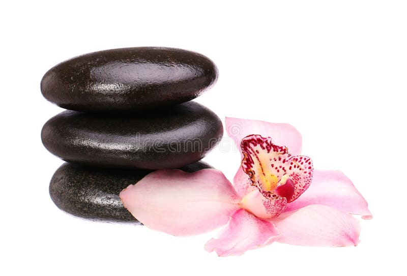 Massage Basalt Stones and Orchid Flower Isolated on White Stock Photo ...