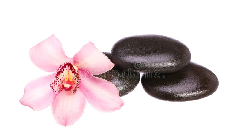 Massage Basalt Stones and Orchid Flower Isolated on White Stock Image ...