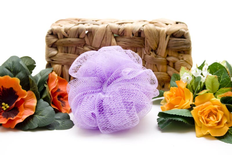 Massage Sponge before Phloem Basket Stock Image - Image of yellow ...