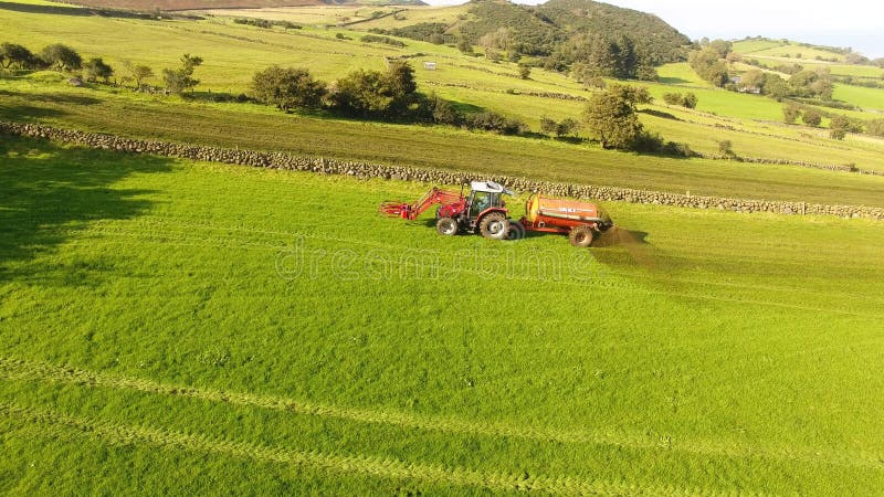 Massey Ferguson 4255 Tractor Spreading Slurry in Field Editorial ...