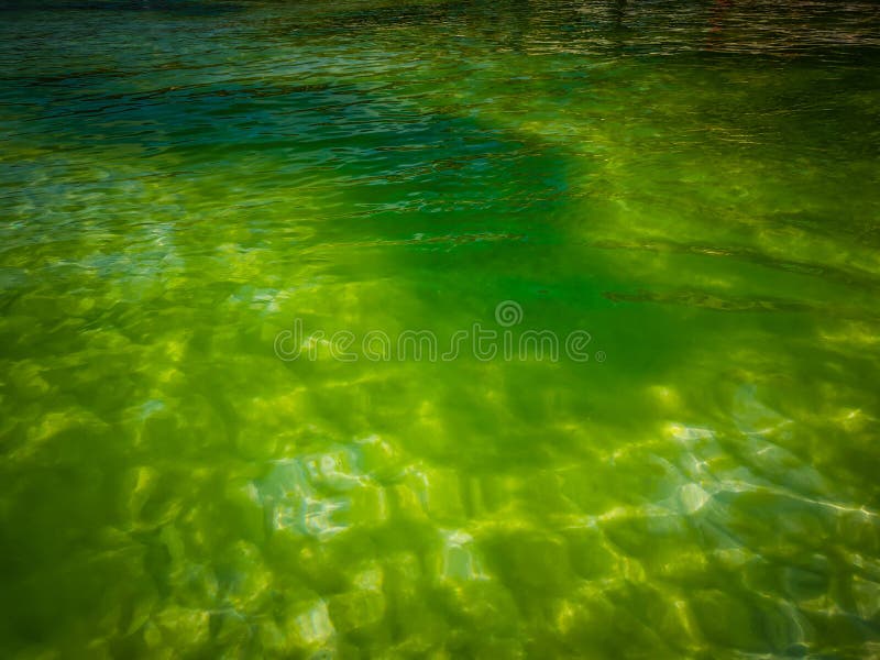Massive Algae Bloom Making Emerald Green Water Boracay Island ...