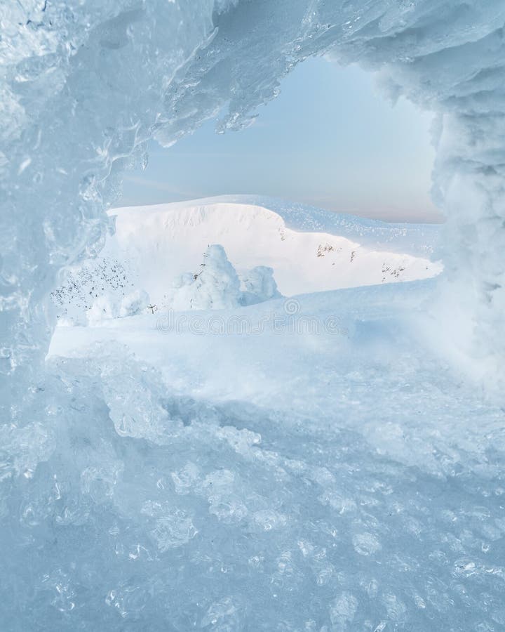 Massive Amount of White Snow Covers Spruce Tree in Winter. Heavy Snow ...