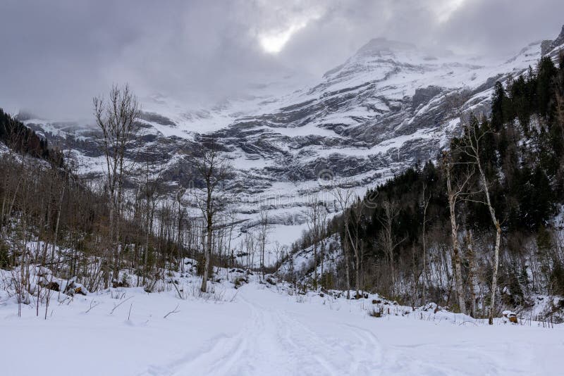 Massive Avalanche Erupts from a Snow-covered Mountain with Dried Trees ...
