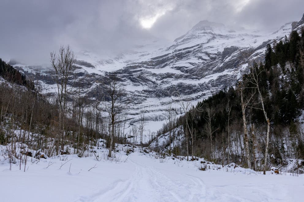 Massive Avalanche Erupts from a Snow-covered Mountain with Dried Trees ...