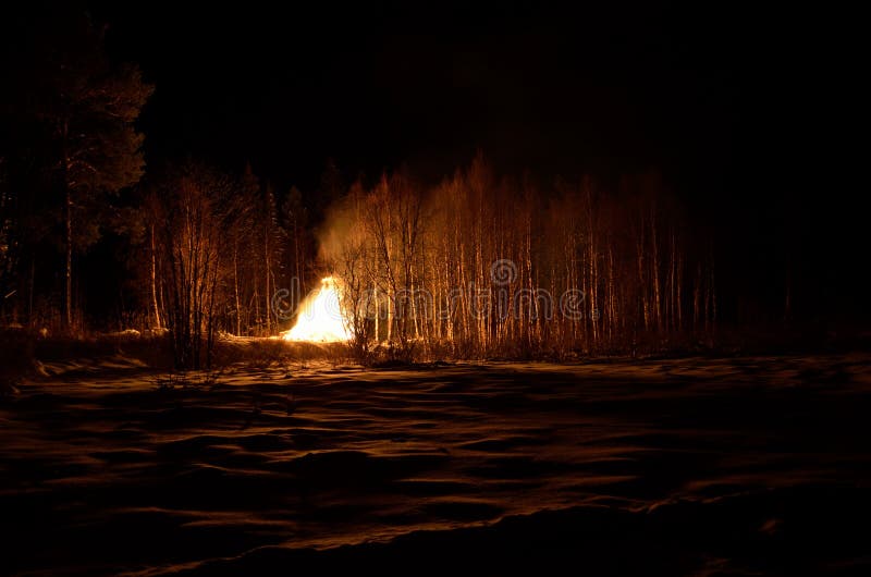 Massive Bonfire in Winter Night Birch Tree Forest Stock Photo - Image ...