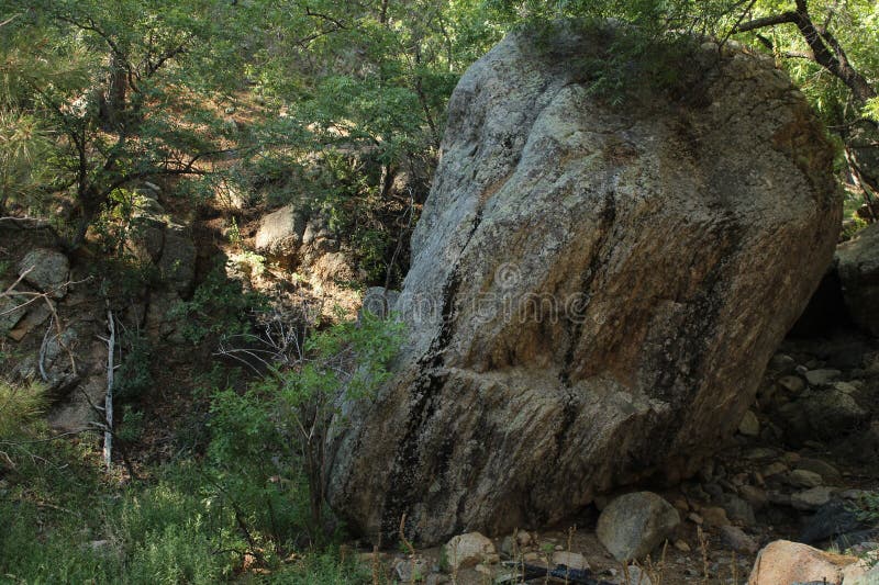 Large Boulder Under Pine Trees in Hualapai Mountain State Park Kingman ...