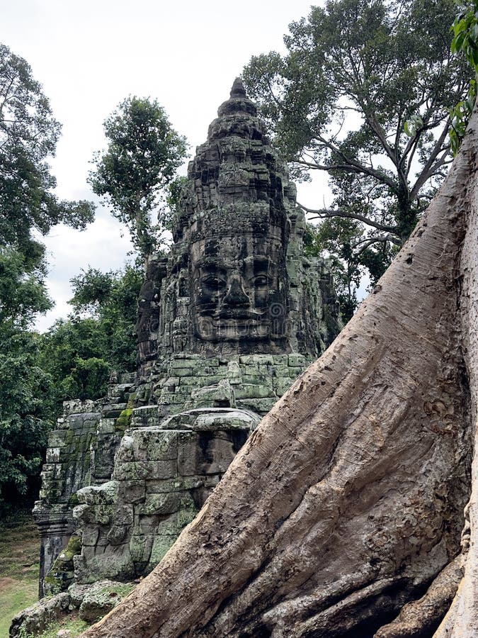 Ancient Stone Faces and Tree Trunk (Siem Reap, Cambodia) Editorial ...
