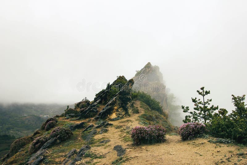 Massive Cliffs and Valley Views in a State Park Preserve Stock Image ...