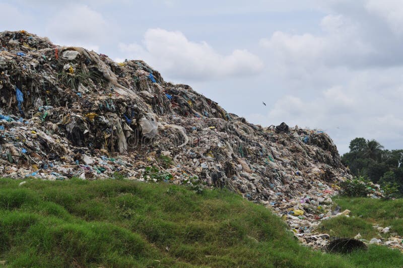 Massive Garbage Dump with Machinery and Cows Amidst the Waste Stock ...