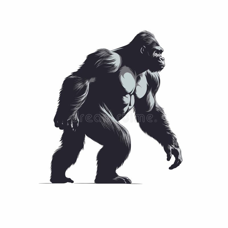 Muscular gorilla vector stock vector. Illustration of chest - 277633288