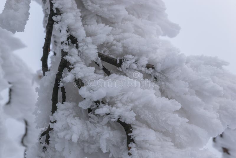 Massive icing stock image. Image of nature, outdoor - 171887753