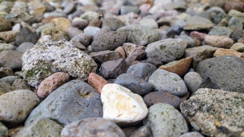 234 Soil Chunks Stock Photos - Free & Royalty-Free Stock Photos from ...