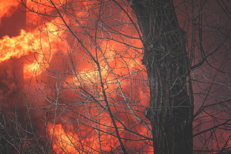 Massive Large Major Wildfire, Bush Blaze, a Forest Fire Stock Image ...