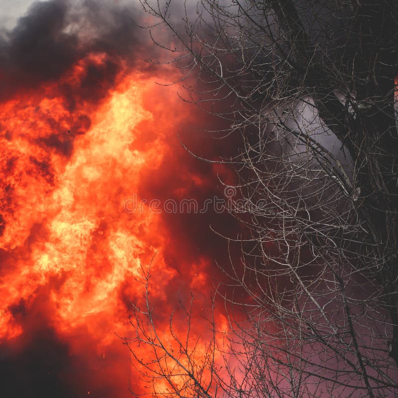 Massive Large Major Wildfire, Bush Blaze, a Forest Fire Stock Image ...