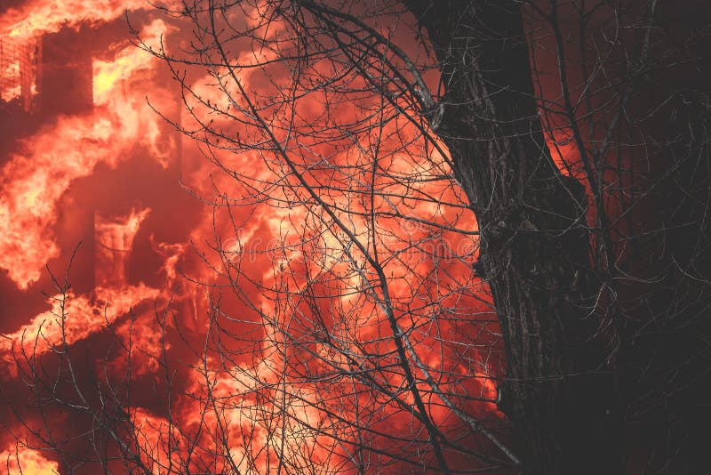 Massive Large Major Wildfire, Bush Blaze, a Forest Fire Stock Photo ...