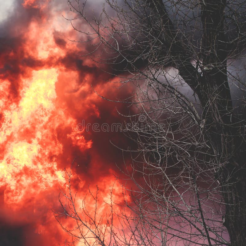Massive Large Major Wildfire, Bush Blaze, a Forest Fire Stock Image ...