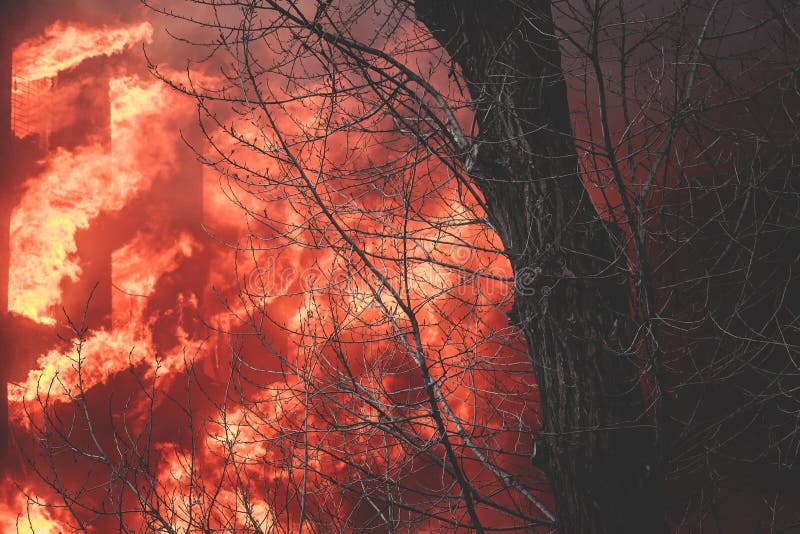 Massive Large Major Wildfire, Bush Blaze, a Forest Fire Stock Image ...