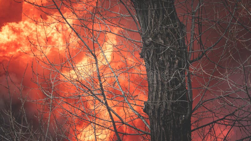 Massive Large Major Wildfire, Bush Blaze, a Forest Fire Stock Image ...