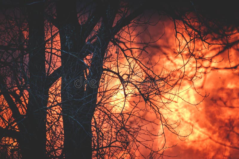 Massive Large Major Wildfire, Bush Blaze, a Forest Fire Stock Image ...