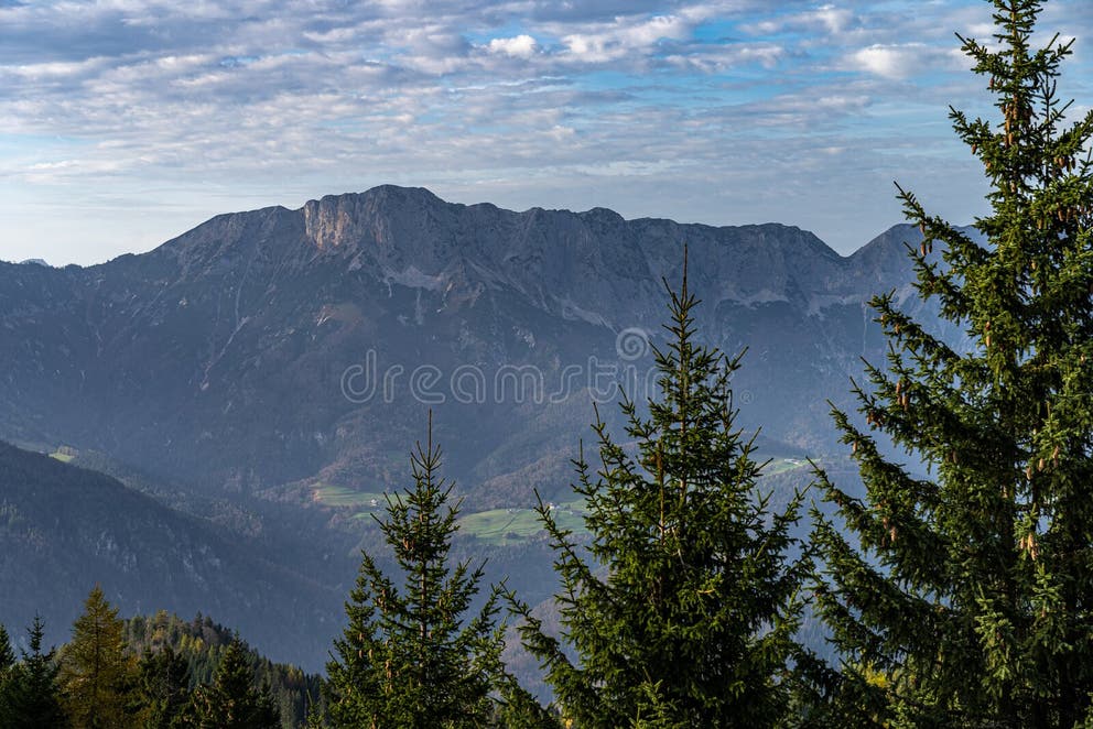 Massive Mountain Chain, Forest and Meadows of the German Alps Stock ...