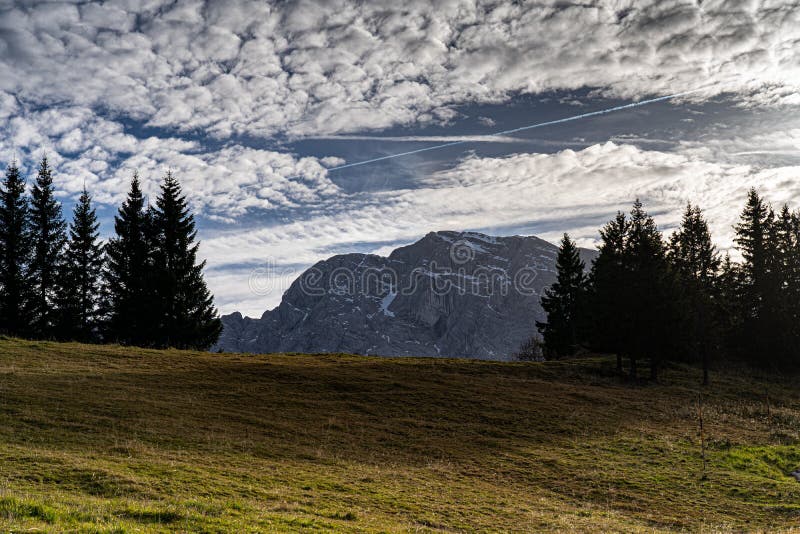 Massive Mountain Chain, Forest and Meadows of the German Alps Stock ...