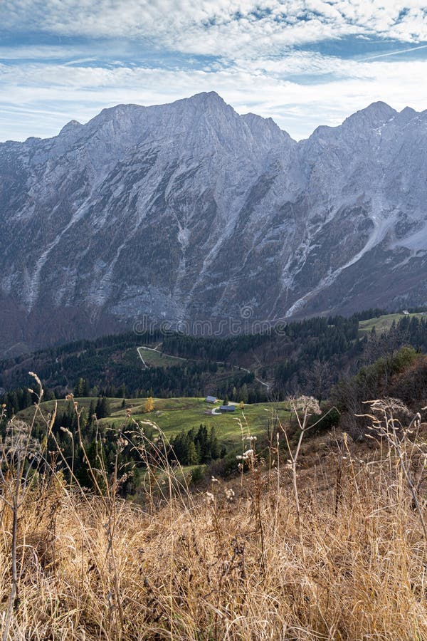 Massive Mountain Chain, Forest and Meadows of the German Alps Stock ...