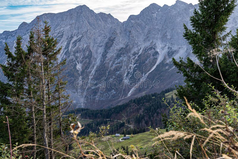 Massive Mountain Chain, Forest and Meadows of the German Alps Stock ...