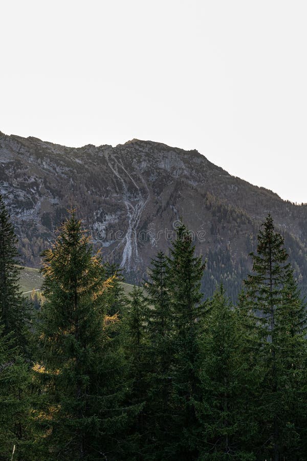 Massive Mountain Chain, Forest and Meadows of the German Alps Stock ...
