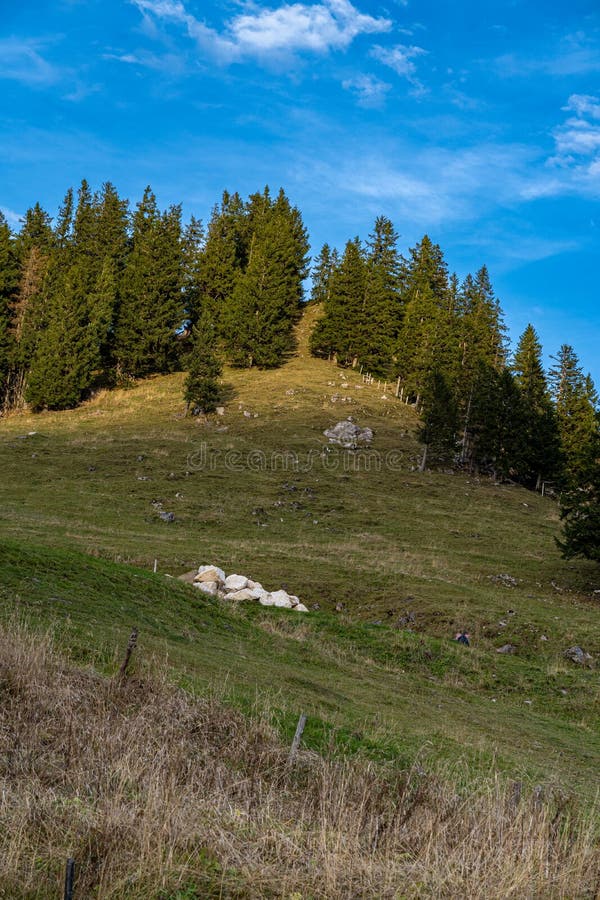 Massive Mountain Chain, Forest and Meadows of the German Alps Stock ...