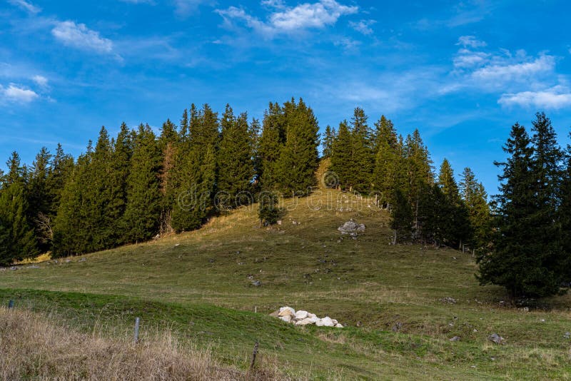 Massive Mountain Chain, Forest and Meadows of the German Alps Stock ...