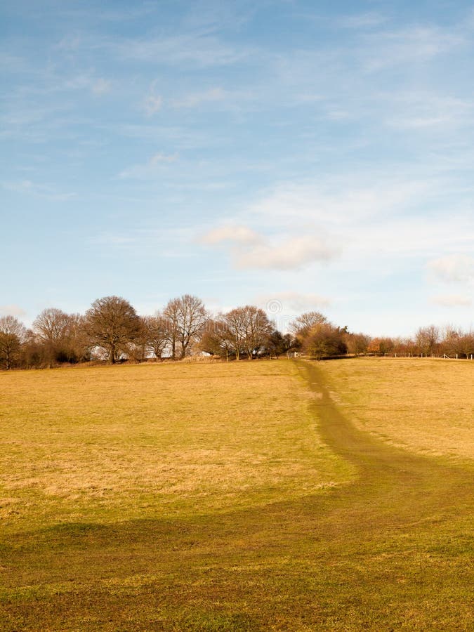 Massive Open Plain Farm Field Grass Agriculture England Blue Sky Ahead ...