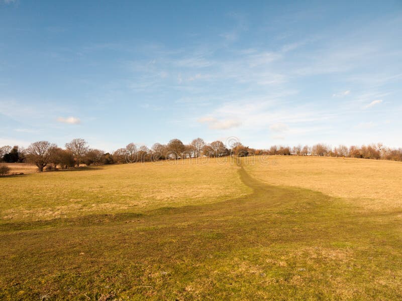 Open Plain Grassland Field Trees Sunset Cloudy Blue Sky Landscape Stock ...
