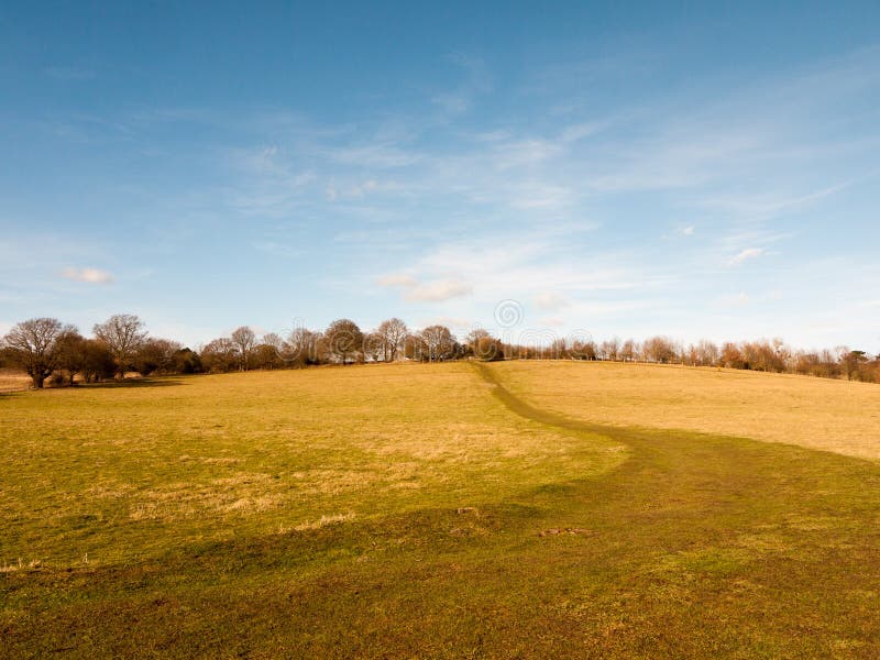 Open Plain Grassland Field Trees Sunset Cloudy Blue Sky Landscape Stock ...